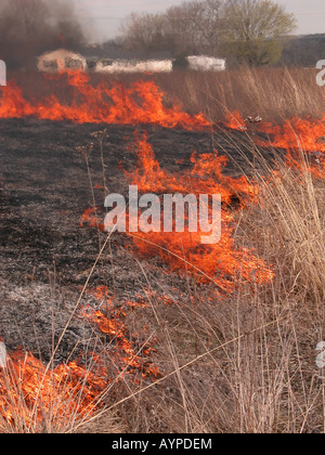controlled prairie burn prescribed maintenance restoration flames fire ...