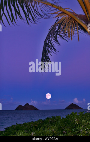 pacific moonrise between the mokulua islands in oahu, hawaii Stock ...