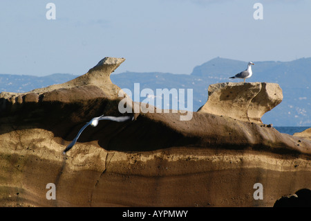 La Gaiola, Posillipo, Naples, Campania, Italy Stock Photo - Alamy