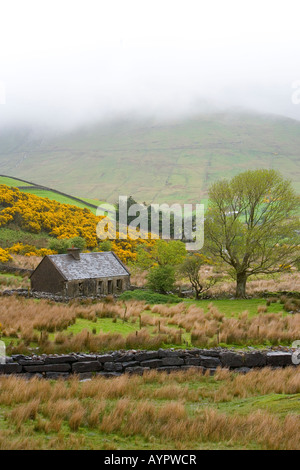 landscape in county mayo Stock Photo - Alamy