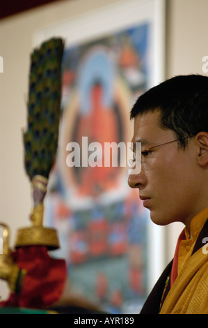 HH XVII Karmapa Thaye Dorje Stock Photo - Alamy