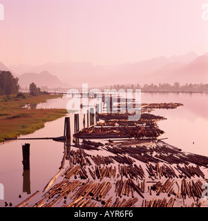 Log booms floating in the Fraser River with wood chip barges in the ...