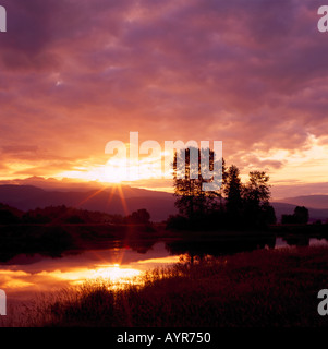 Sunrise reflections at Pitt Meadows Stock Photo - Alamy