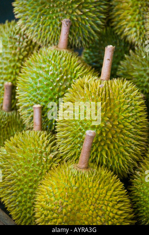 Durians spiky fruit Malaysia Stock Photo - Alamy