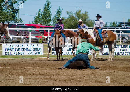 Calf Roping at the Herbert Rodeo Stock Photo - Alamy