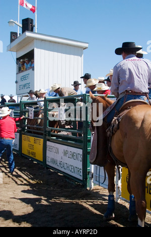 Saddle Bronc riding at the Herbert Rodeo Stock Photo - Alamy