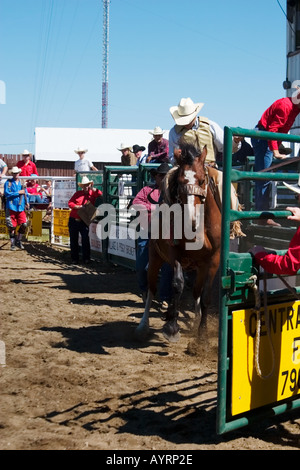 Saddle Bronc riding at the Herbert Rodeo Stock Photo - Alamy