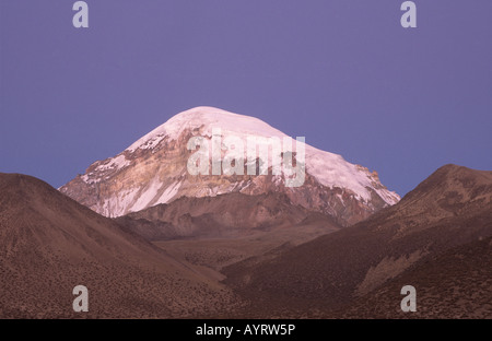 Nevado Sajama at sunset, snow-capped volcano, puna vegetation, Sajama ...
