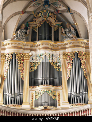 Silbermannorgel im Dom von Freiberg, Freiberger Mulde, Erzgebirge ...