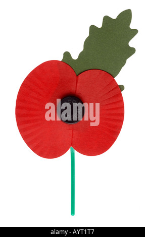 World War remembrance day. Red poppy is symbol of remembrance to those ...