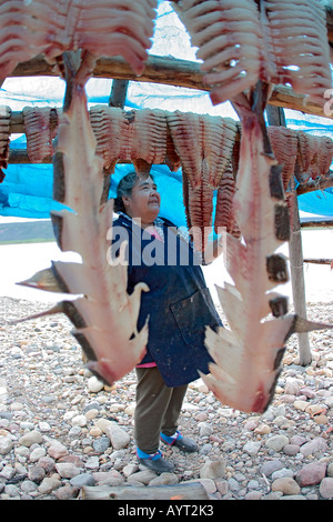 Elder Inuit woman with dried fish in smoke tent Stock Photo - Alamy