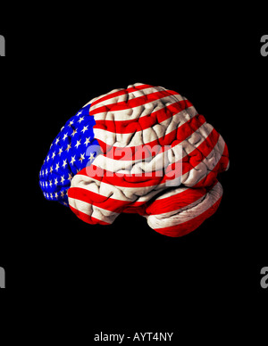 USA American Brain Mind Mentality Mindset Intelligence Thinking Stock ...