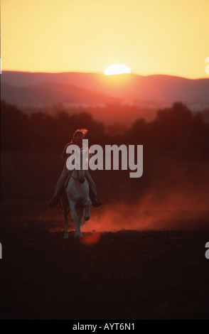 Pura Raza Espanola in the evening light Stock Photo - Alamy