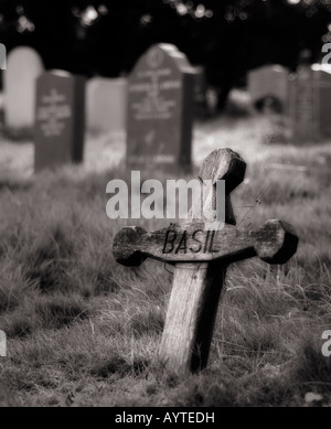 Weathered wooden cross and grave stone standing in an old settlers graveyard in a dense forest ...