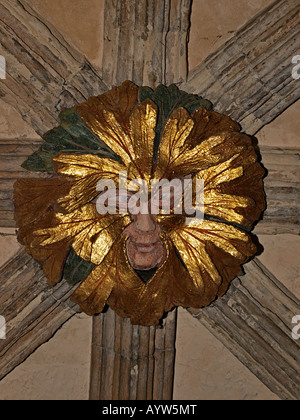 Norwich Cathedral Cloisters, roof boss bosses painted stone medieval ...