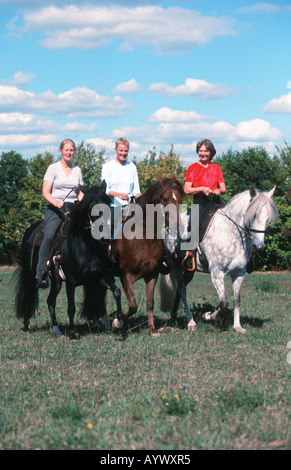 riding group with peruvian paso horse paso peruano caballo peruano de ...