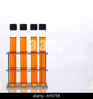 test tube with orange fluid Stock Photo - Alamy