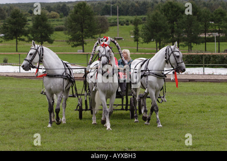 Traditional Russian troika horse-riding (carriage-and-three Stock Photo ...