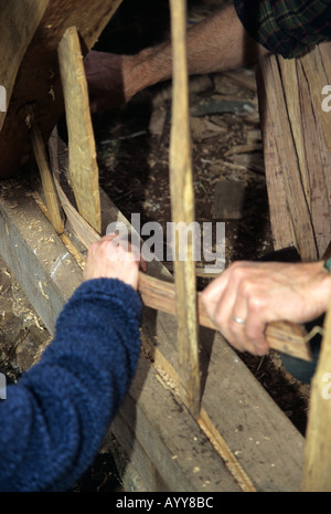 Split and cut timber to make wattle in a Wattle and Daub walls with a ...