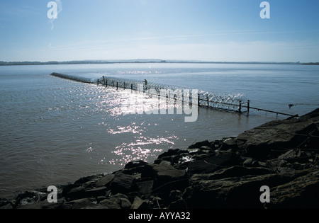 Salmon putcher ranks Stock Photo - Alamy