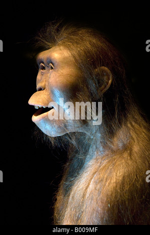 Sculpture of Neanderthal Man at Science Museum siliguri India ...