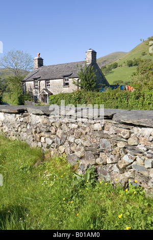 LLANFIHANGEL Y PENNANT GWYNEDD NORTH WALES UK September The purple ...