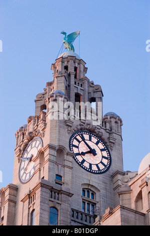 Royal Liver Building in Liverpool, England by Drone Stock Photo - Alamy