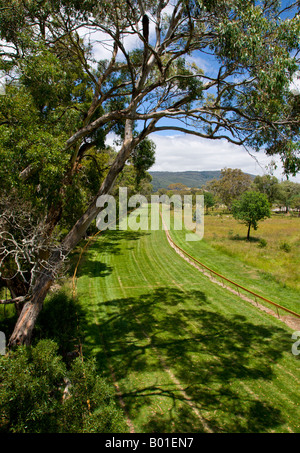 Back straight racing Stock Photo - Alamy