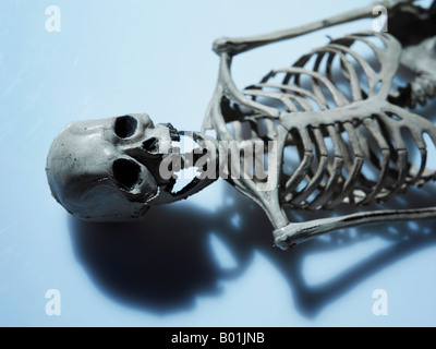 Human anatomy model with half skeletal and muscular system Stock Photo ...