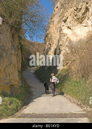narrow pass defile in forest accumulation of loess Vogtsburg Bickensohl ...
