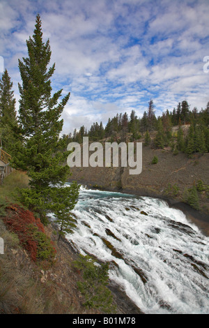 Fast mountain river in rapid flow in the green forest Stock Photo - Alamy