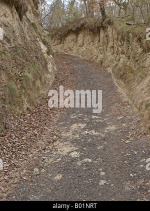narrow pass defile in forest accumulation of loess Vogtsburg Bickensohl ...