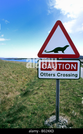 Otter, Road sign warning of otter crossing causeway Stock Photo - Alamy