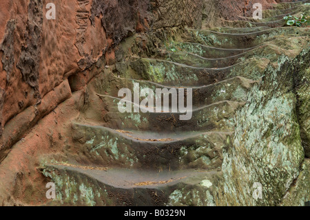 Kynaston s cave at Nesscliffe in Shropshire England Stock Photo - Alamy