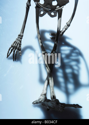 Human anatomy model with half skeletal and muscular system Stock Photo ...