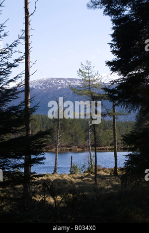 Uath Lochan, a tree-lined Scottish loch (lake) with mountains in the ...