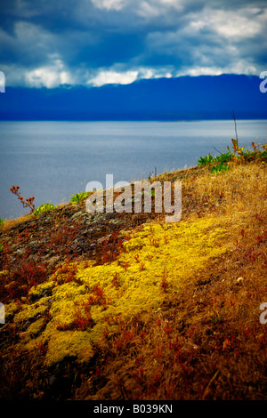 Heliwell provincial park on Hornby Island Stock Photo - Alamy