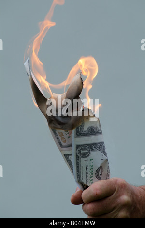 US dollar, burn, fire, banknote, banknote, studio shot Stock Photo - Alamy