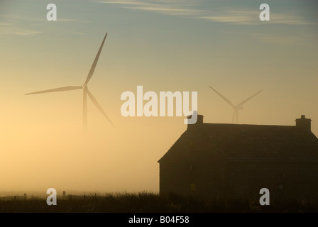 Wind farm emerging from morning mist at Causeymire, Caithness, Scotland ...