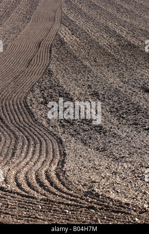Freshly ploughed and harrowed field Stock Photo - Alamy