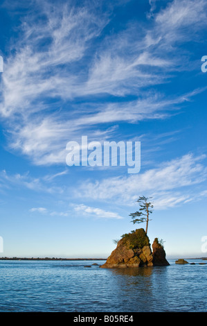 Three Graces rock formation at Garibaldi Oregon Coast during low tide ...