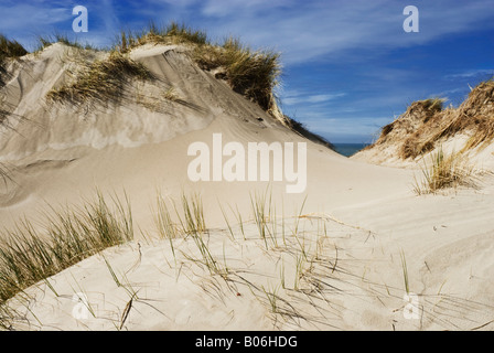 Sand Dunes at De Panne, Belgium Stock Photo - Alamy