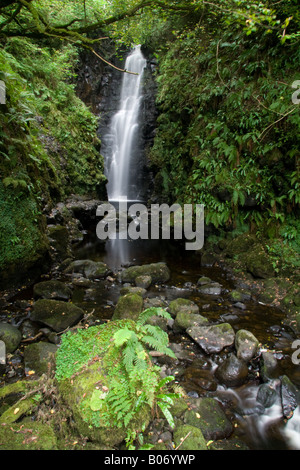 Cranny Falls, Carnlough Stock Photo - Alamy