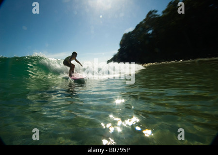 Young surfer first point Noosa Stock Photo - Alamy