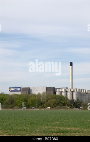 The Foster's brewery near Reading, Berkshire 1/2 Stock Photo - Alamy