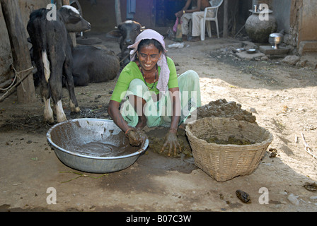 Indian woman collecting cow dung for burning on the ghats in Varanasi ...
