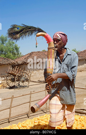 Close up of tarpha or pavri, a wind instrument made of dried gourd ...