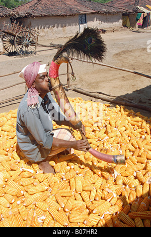 Kokna tribal playing tarpha or pavri, a wind instrument made of dried ...