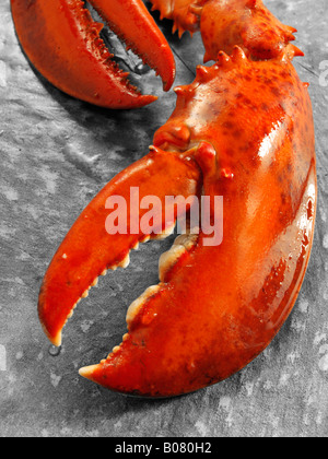 Close-up of cooked lobster in black bowl with chili peppers, lemongrass ...