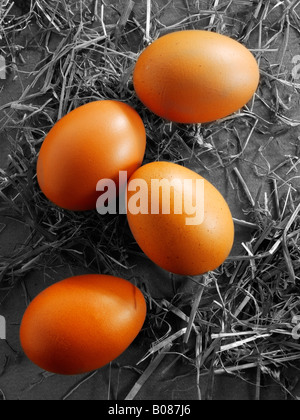 Burford Brown organic free range chicken eggs - Soft focus Stock Photo ...